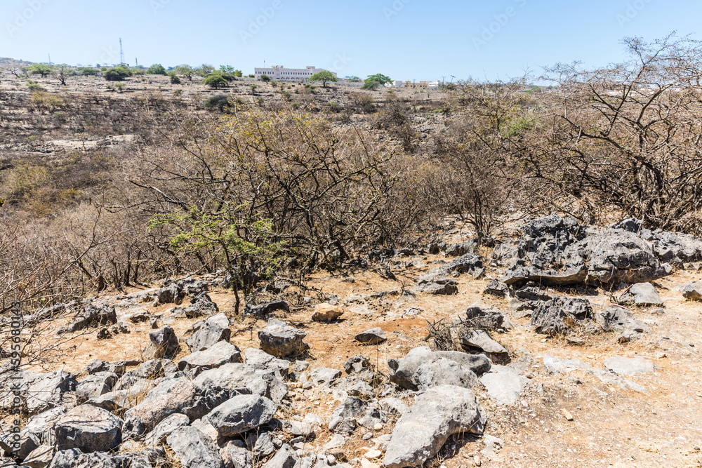 Park near the Tawi Atair Sinkhole Oman, the most famous sinkhole in the ...