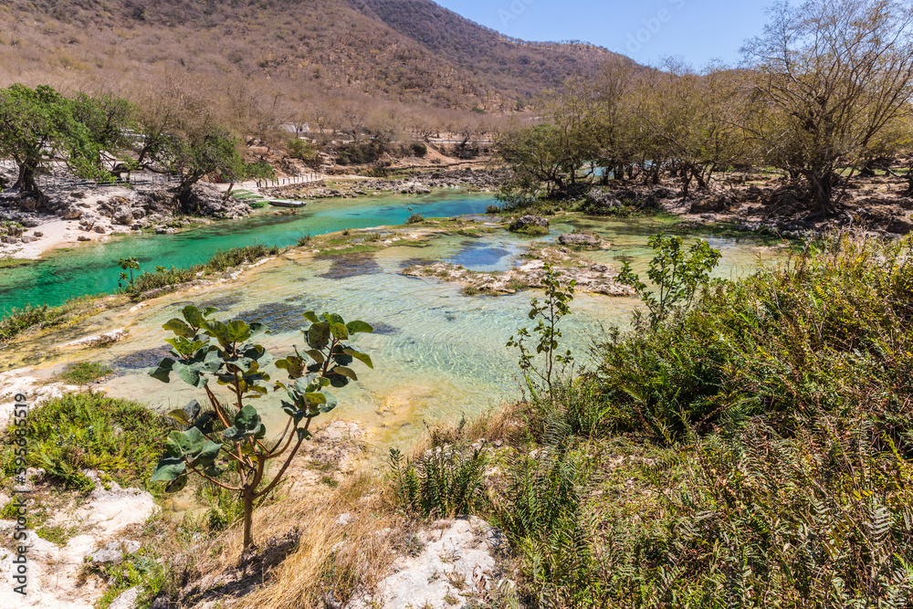 Wadi Darbat Valley, one of the most beautiful and picturesque places of ...