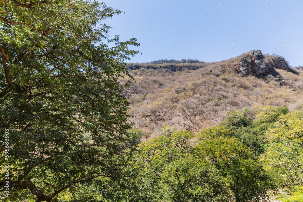surroundings of the Wadi Darbat Valley, one the most beautiful and ...
