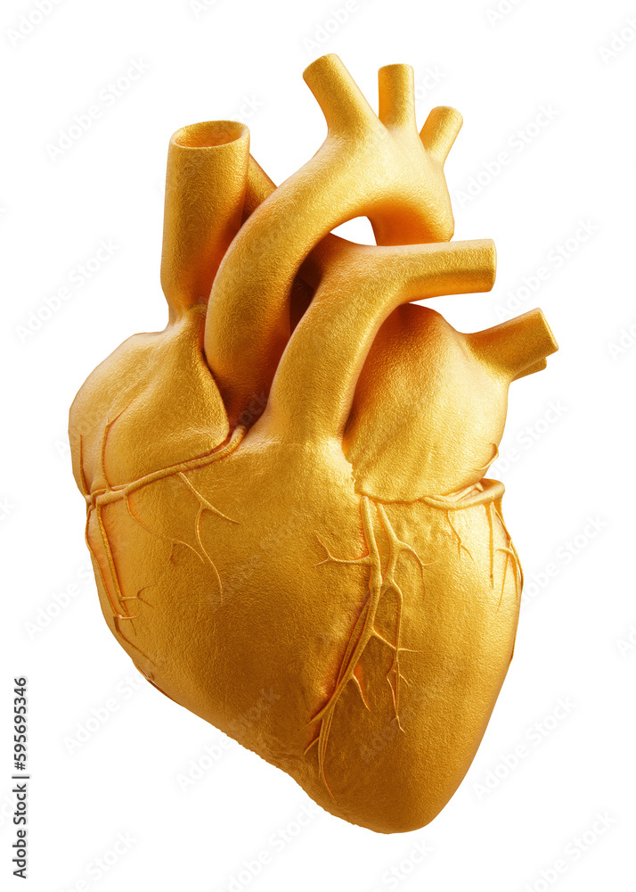 Golden human heart isolated on transparent background. 3D rendering ...