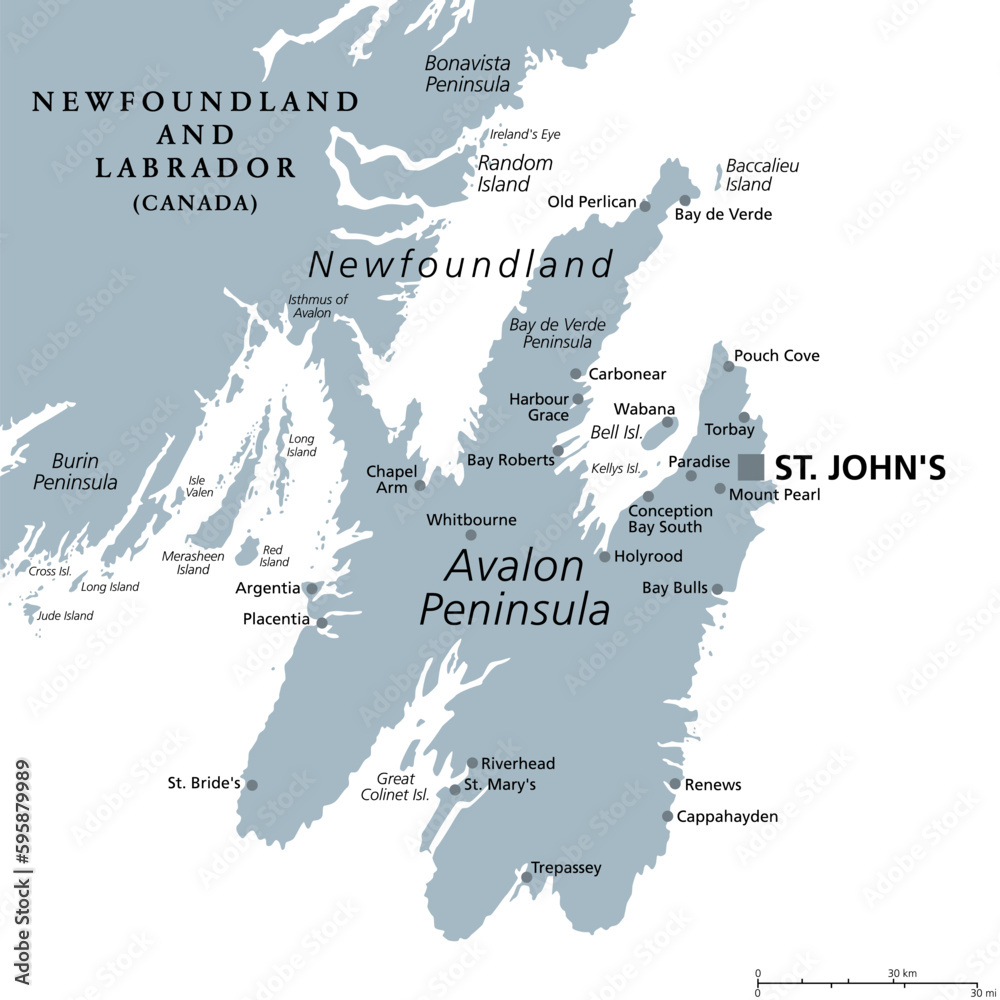Avalon Peninsula, gray political map. Portion of the island of ...