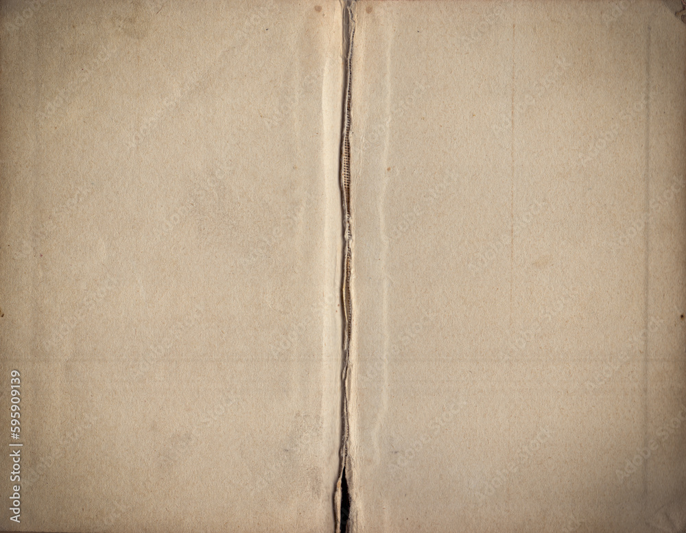 Vintage background of old book paper texture Stock Photo | Adobe Stock