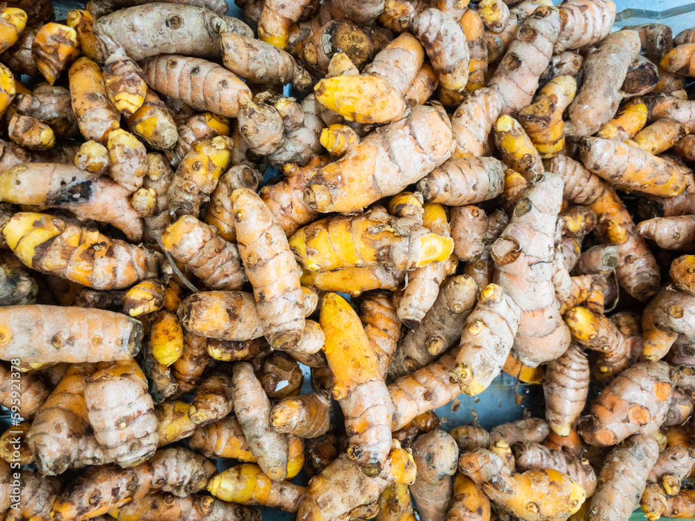 Turmeric Roots, or Rhizomes, on display at market. Turmeric, (Curcuma ...