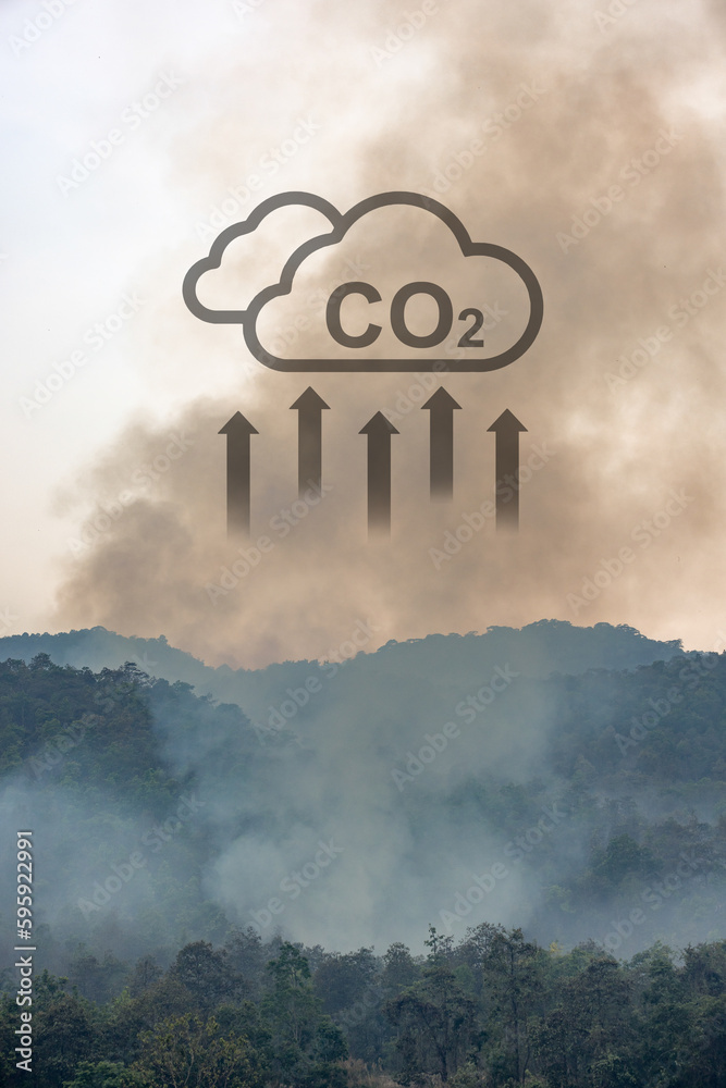 Climate change, Wildfires release carbon dioxide (CO2) emissions and ...