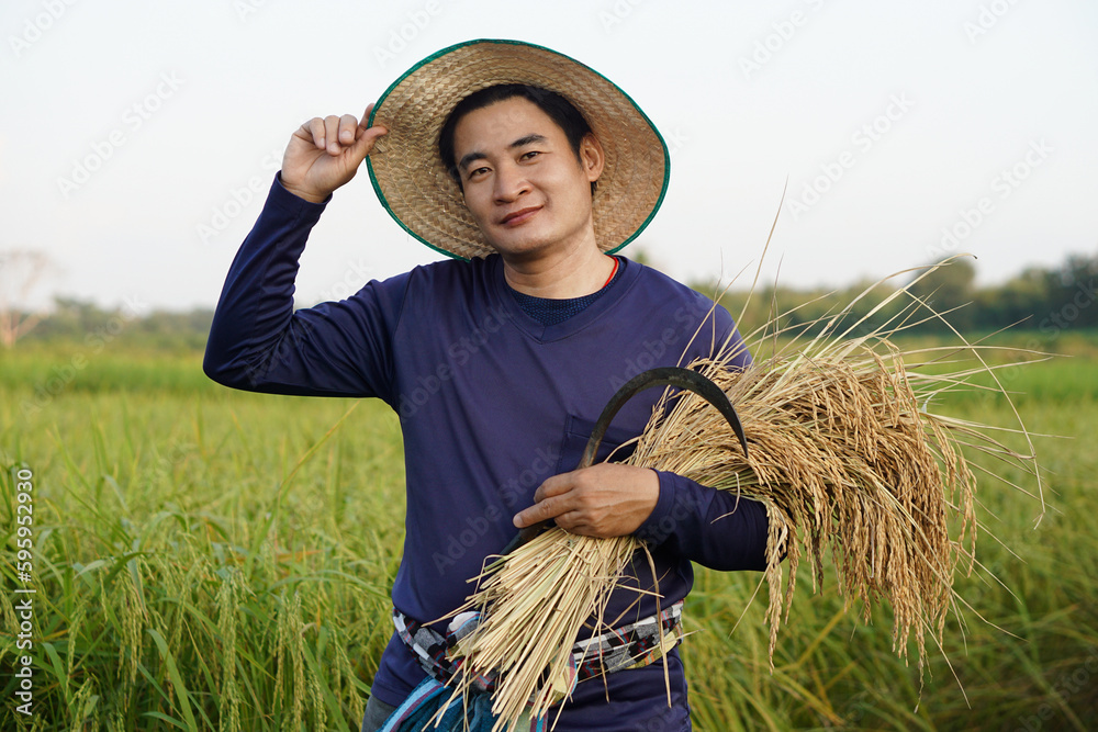 Handsome Asian man wears hat, blue shirt is at paddy field, holds ...