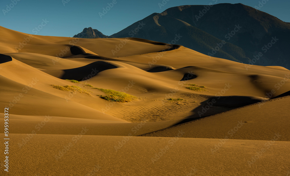 texture of yellow sand on the beach, sand dunes system, beach sand ...