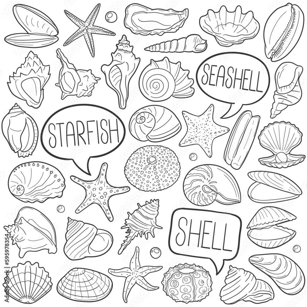 Seashell Doodle Icons. Hand Made Line Art. Beach Animal Shell Clipart ...