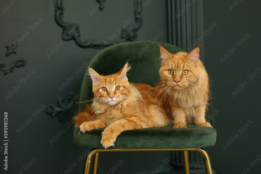 Stylish luxury home interior in green and gold shades, two red fluffy ...