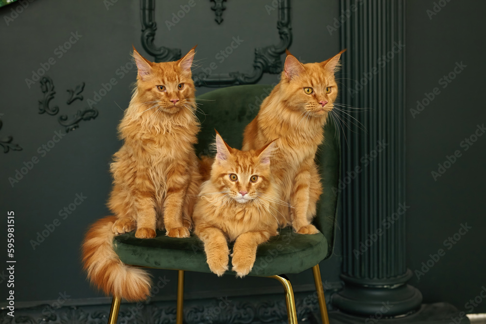 Stylish luxury home interior in green and gold shades, family of three ...
