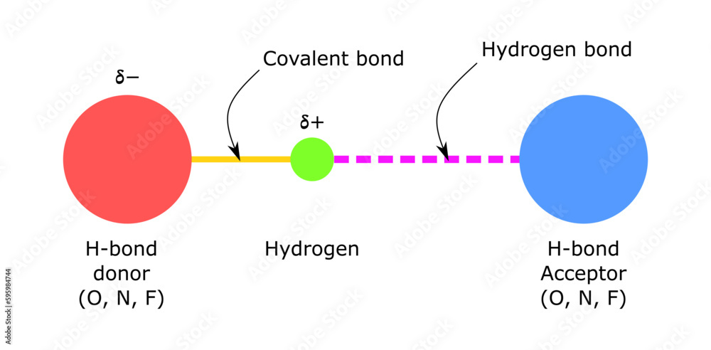 Hydrogen bonding bond covalent partial positive negative charge ...