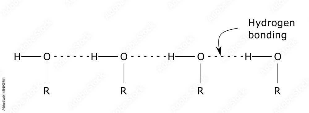 hydrogen bonding alcohol molecules h bond oxygen alkyl weak partial ...