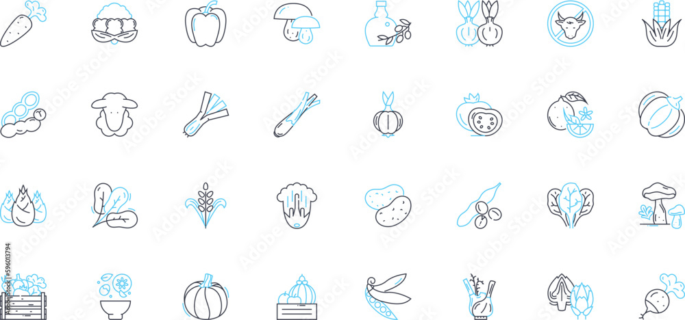 Balanced nutrition linear icons set. Health, Energy, Protein ...