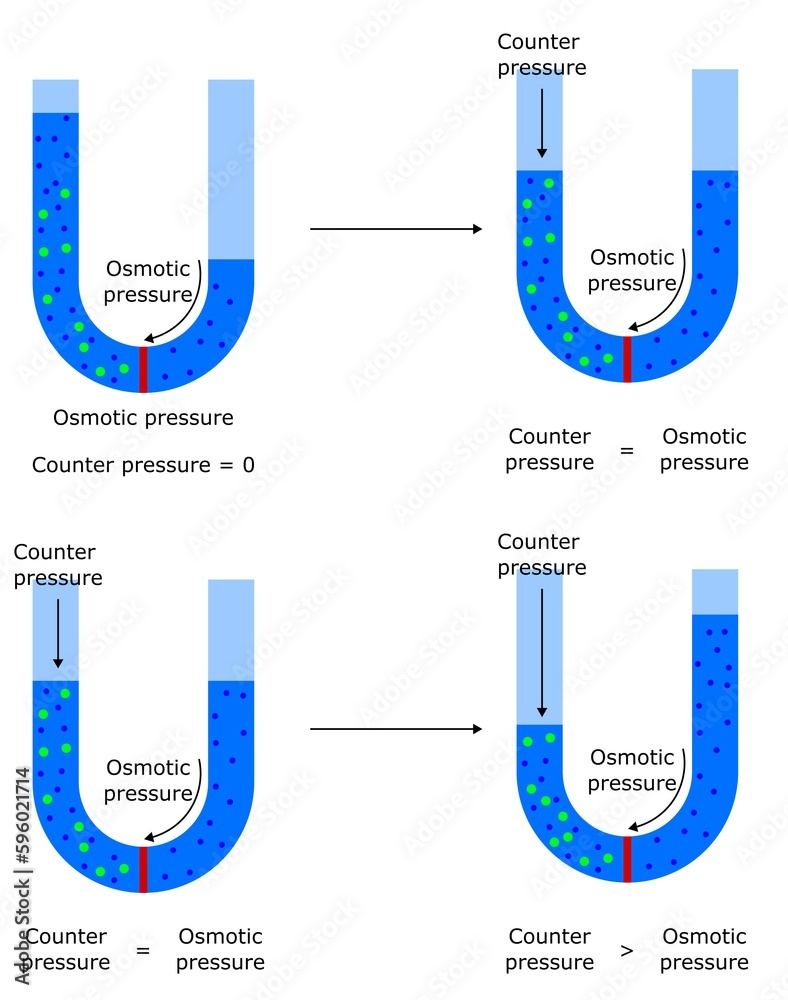 Osmotic Pressure Osmosis Reverse Counter Solute Solvent Solution Manometer Semi Permeable