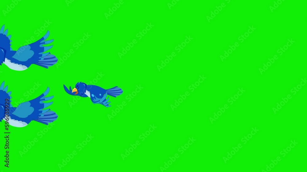 2d cartoon bird flying frame by frame animation 4k screen green Stock ...