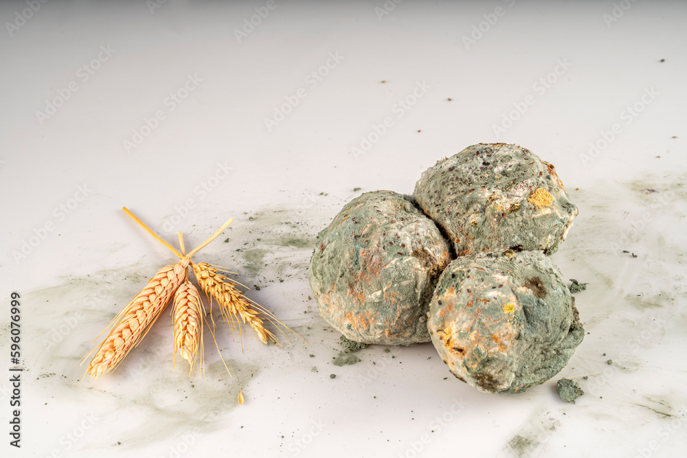 The picture of a moldy waste bread. Rotten and uneatable. Green mildew ...