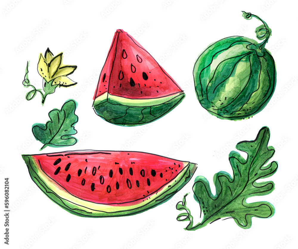 Abstract watercolor drawing of watermelon on a white background ...