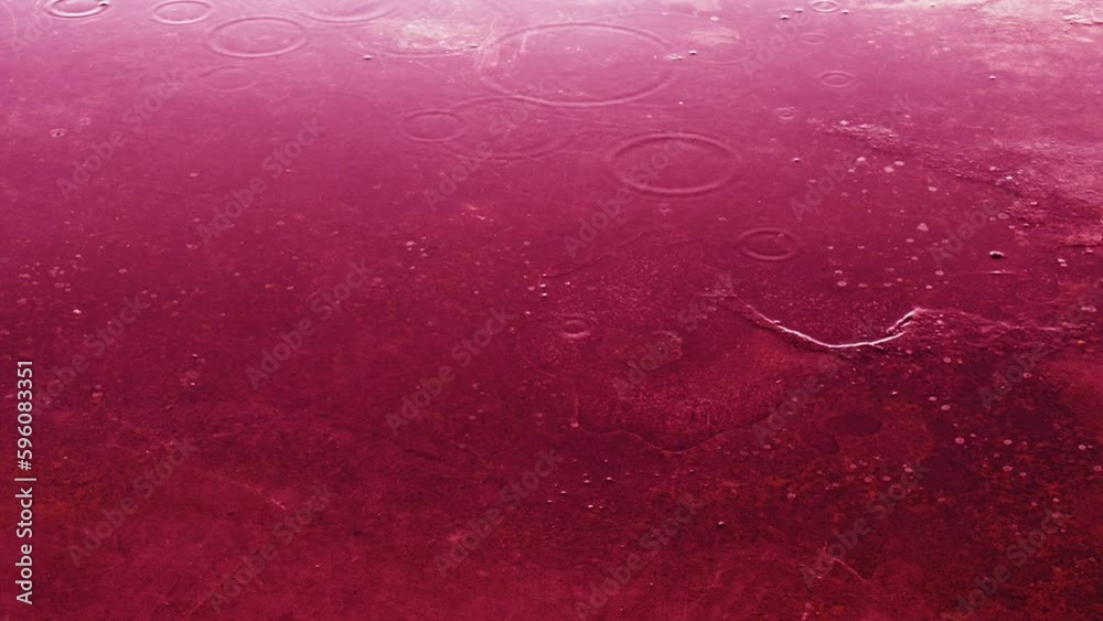 Reinforced pink magenta color. Ecology concept, acid rainfall ...