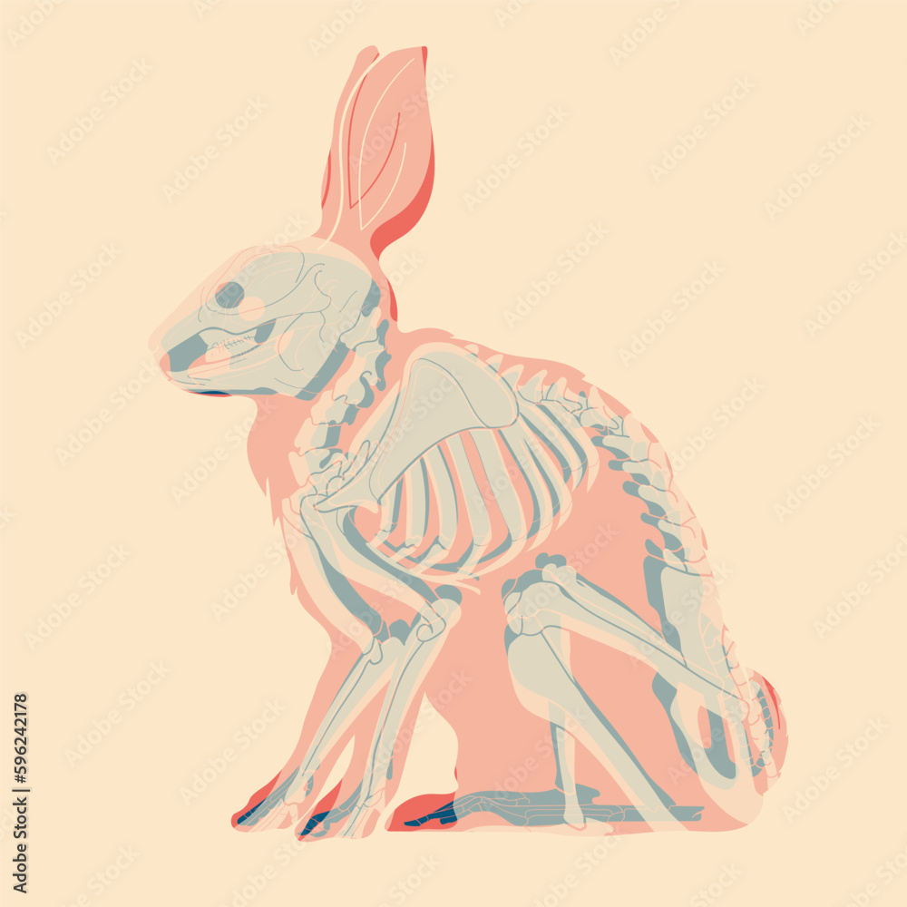 Skeleton of rabbit, bunny. Colorful cute screen printing effect. Riso ...