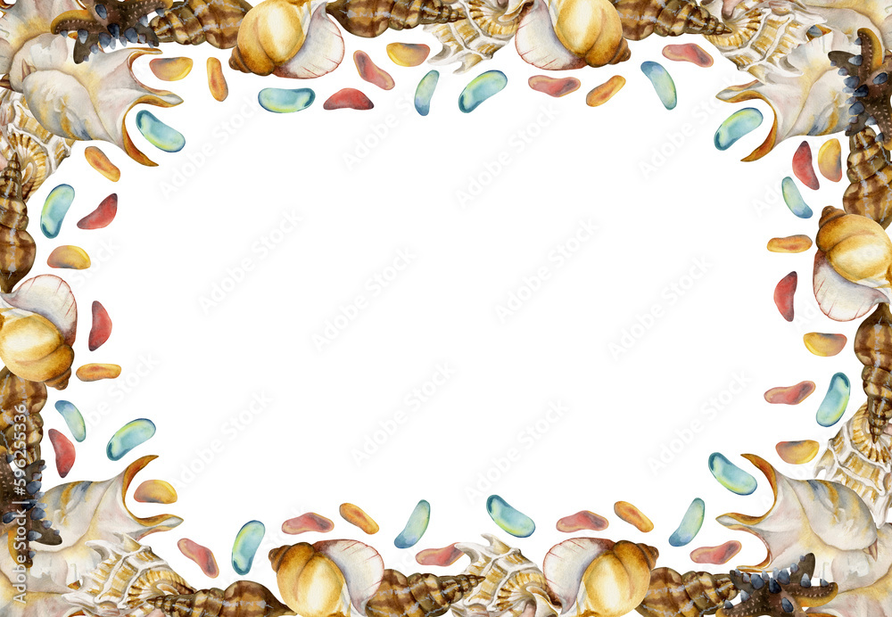 Hand drawn watercolor spiral pearl, brown and gold sea shells and ...