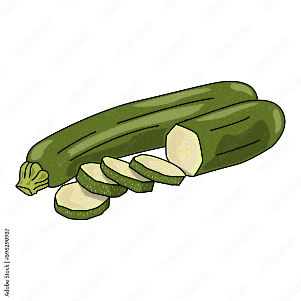 Zucchini on transparent background Stock Vector | Adobe Stock
