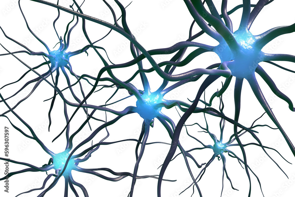 Brain neurons 3D illustration. Neural connections inside the human ...