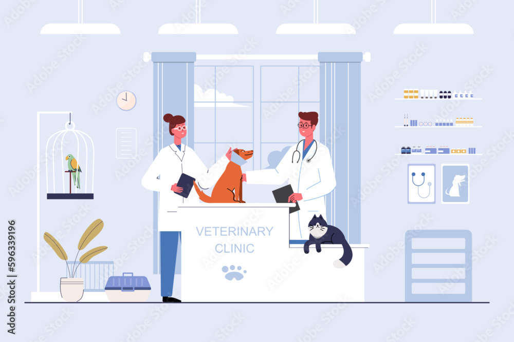 Veterinarian and doctor with dog and cat on counter in vet clinic ...