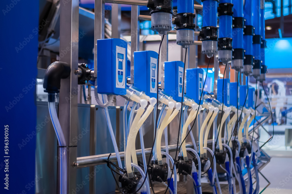 Automated goat milking suction machine with teat cups at cattle dairy ...
