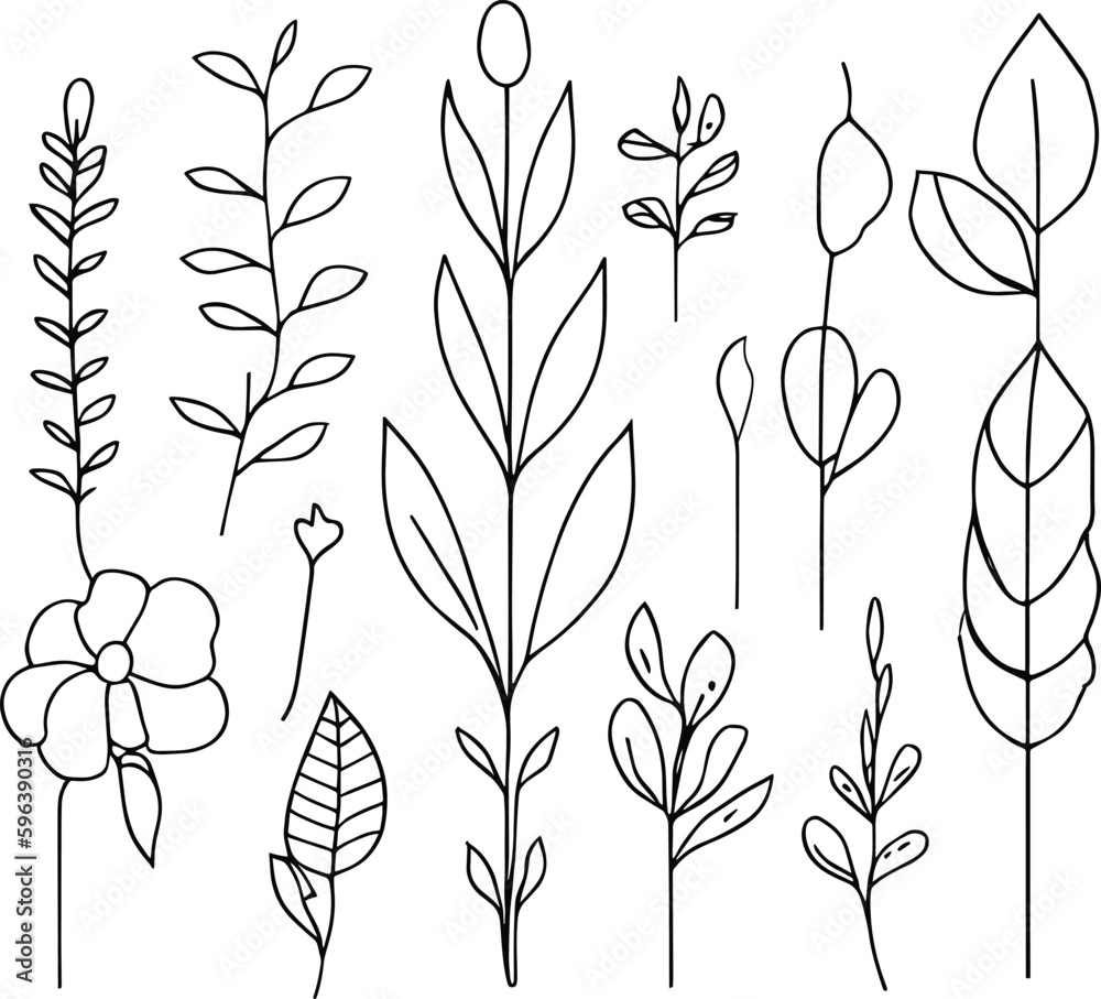 Botanical element, botanical line drawing, vintage botanical coloring ...