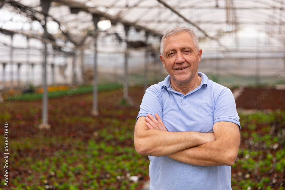 Mature positive male worker poses next to plantation of young plants in ...