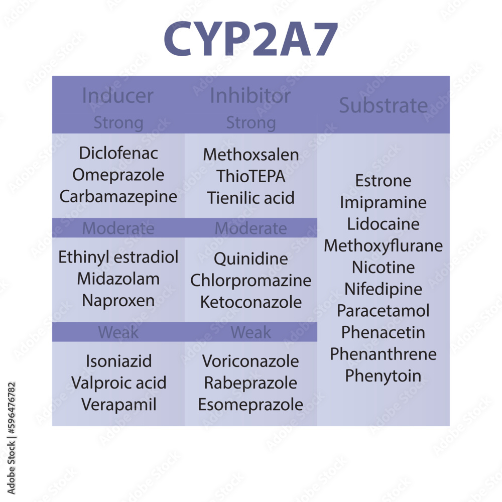 Grafika wektorowa Stock: Cytochrome CYP2A7 table of strong, moderate ... Grafika wektorowa Stock: Cytochrome CYP2A7 table of strong, moderate ...