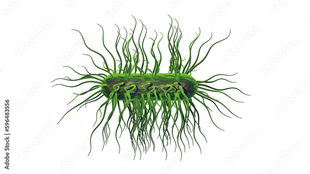 ภาพประกอบสต็อก Bacteria covered with cilia. Capsule shaped microbe ...