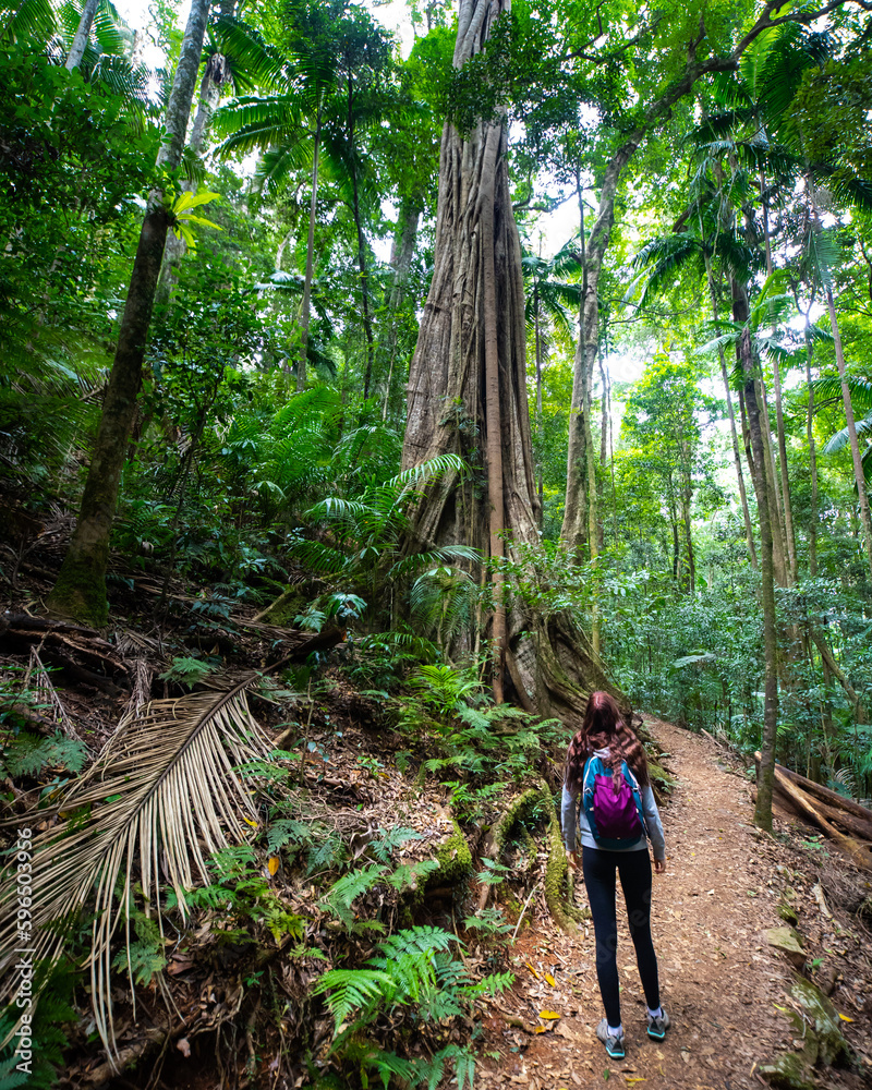 Foto de girl looks up and admires a tall powerful tree in the stunning ...