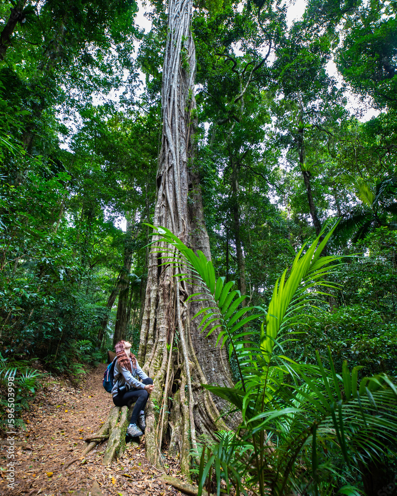 Foto de girl looks up and admires a tall powerful tree in the stunning ...