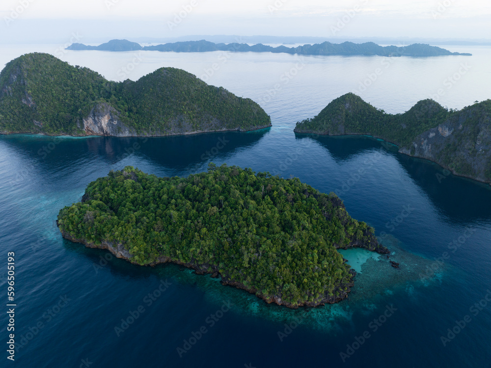 Beautiful coral reefs surround the dramatic limestone islands that rise ...