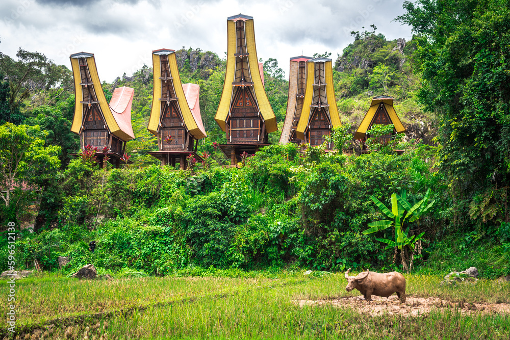 Poster traditional houses of tana toraja in londa village, indonesia ...