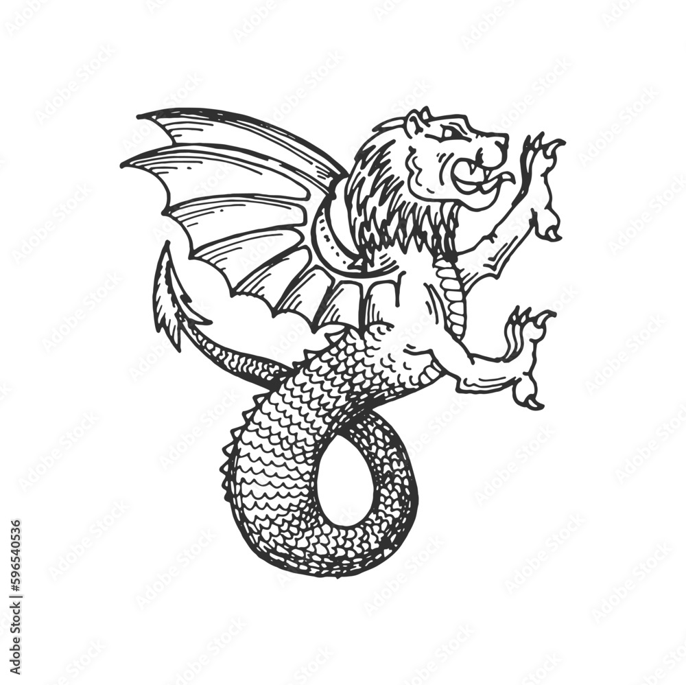 Medieval heraldry, lion dragon sketch of animal with wings, vector ...