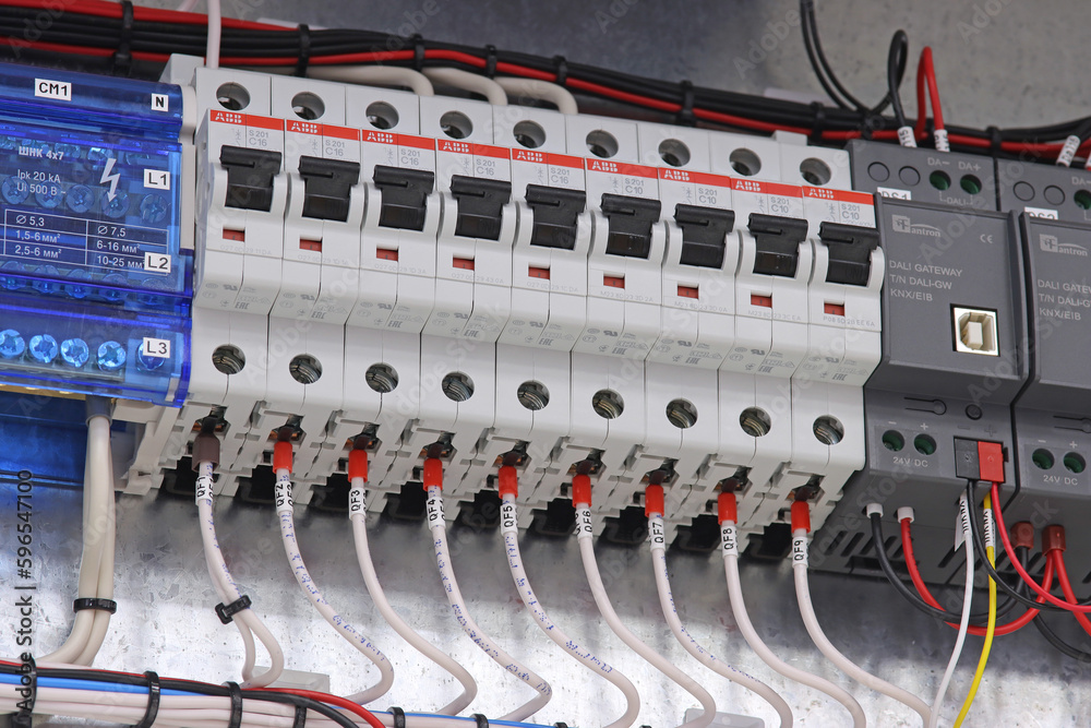 ABB circuit breakers installed on the din rail in the EKF electrical ...