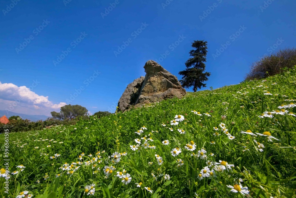 Niobe Weeping Rock (Aglayan Kaya), a natural rock formation, in Manisa ...