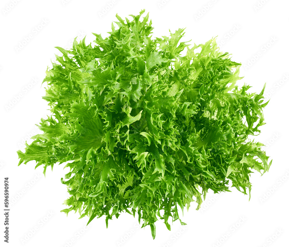 frisee, frieze, salad, lettuce, isolated on white background, full ...
