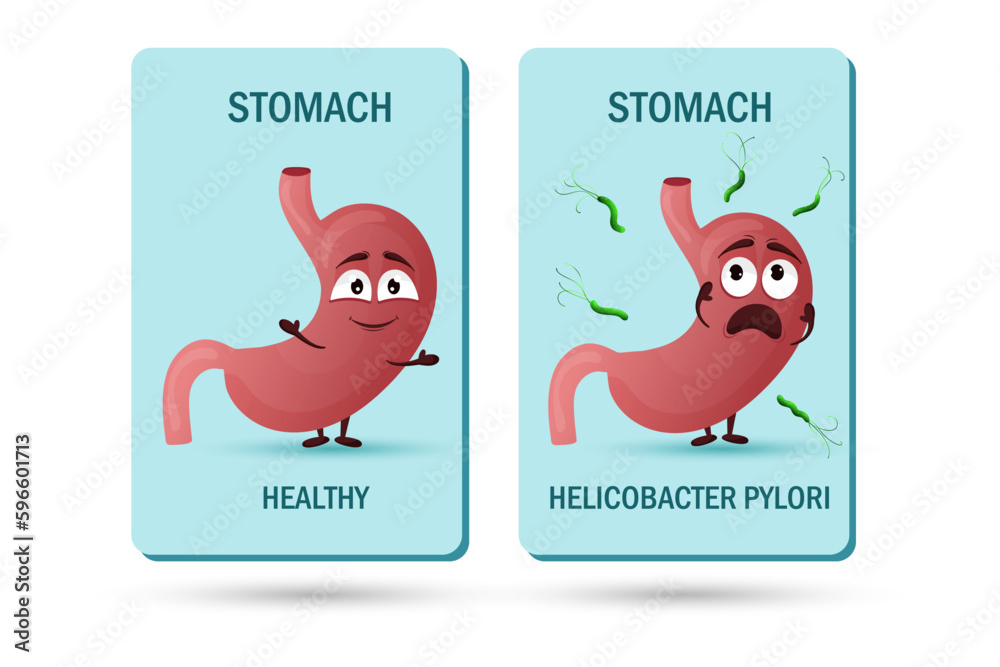 Cartoon stomach character. Concept healthy internal organ and affected ...
