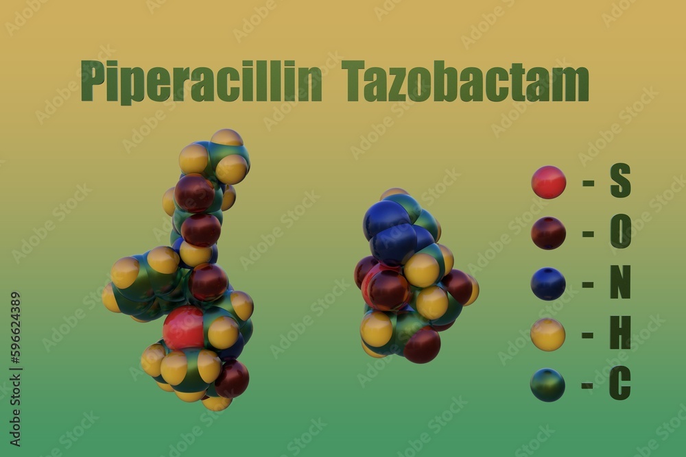 Ilustrace Piperacillin And Tazobactam A Combination Medication