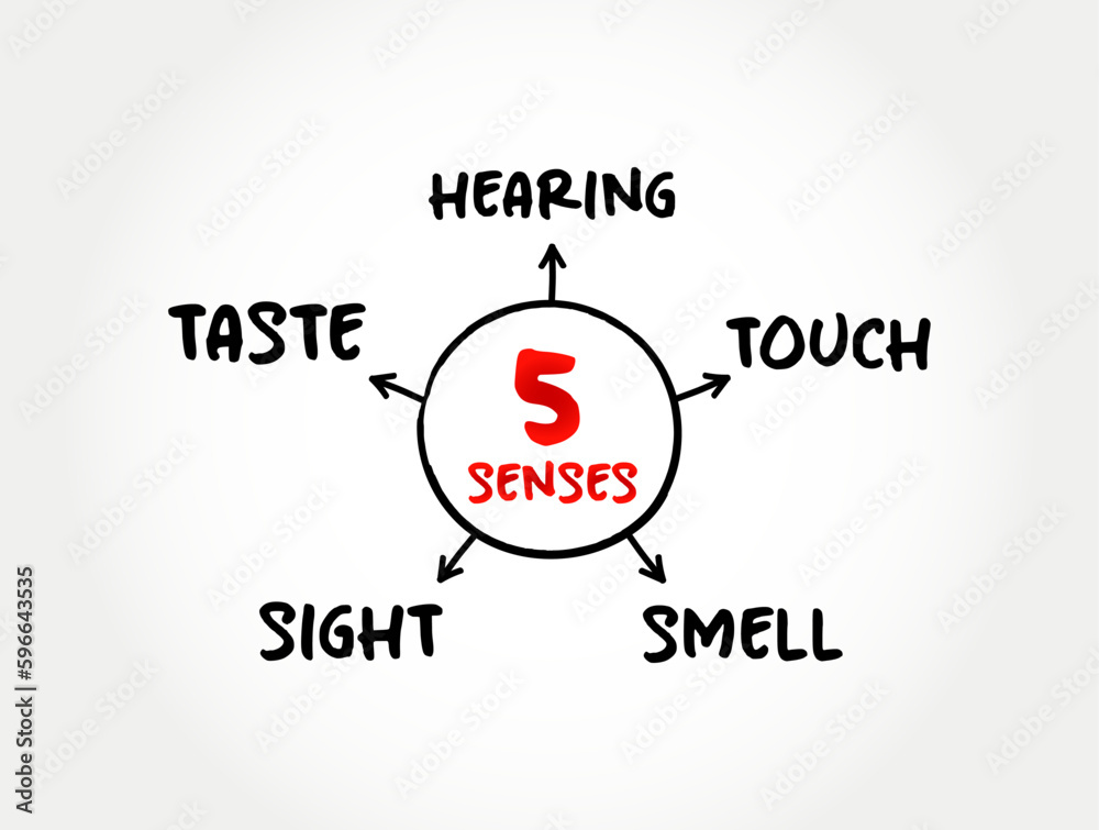 Five basic human senses: touch, sight, hearing, smell and taste, mind ...