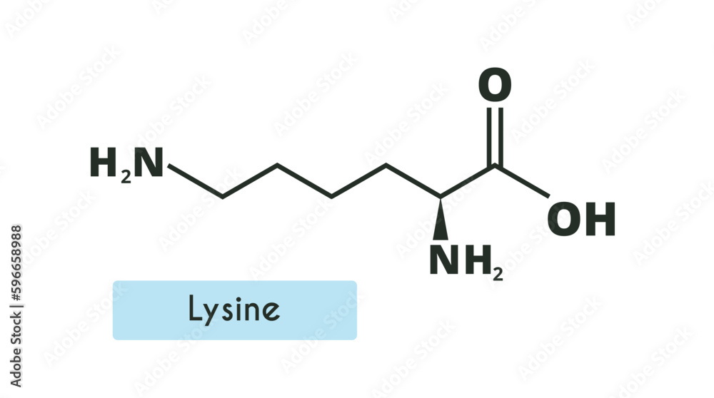Vetor de Lysine Molecule Structure. (l-lysine, Lys, K) Skeletal formula ...
