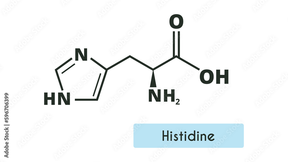 Histidine Molecule Structure. (l-histidine, his, H) Skeletal formula ...