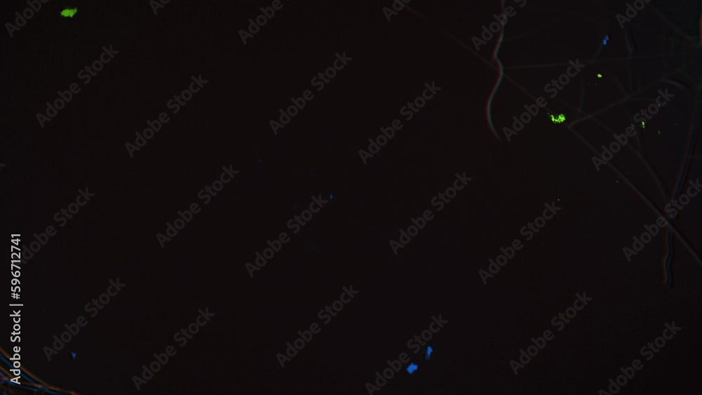 Dark 2d animation with devilish characters and monsters in black and ...