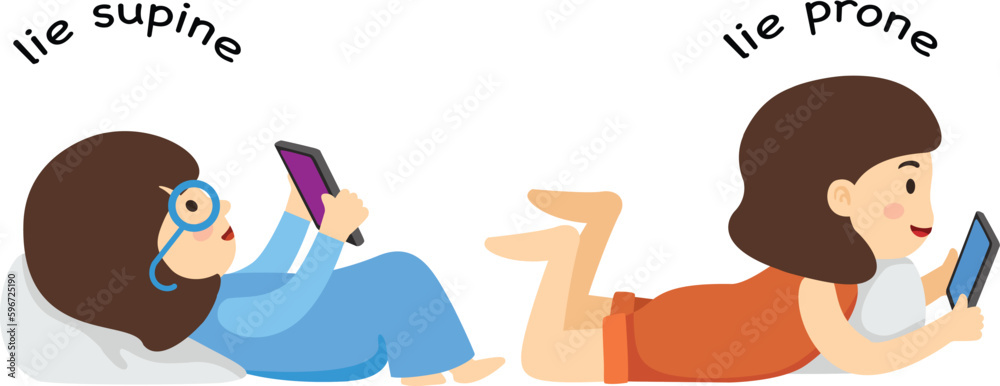 Opposite lie supine and lie prone vector illustration Stock Vector ...