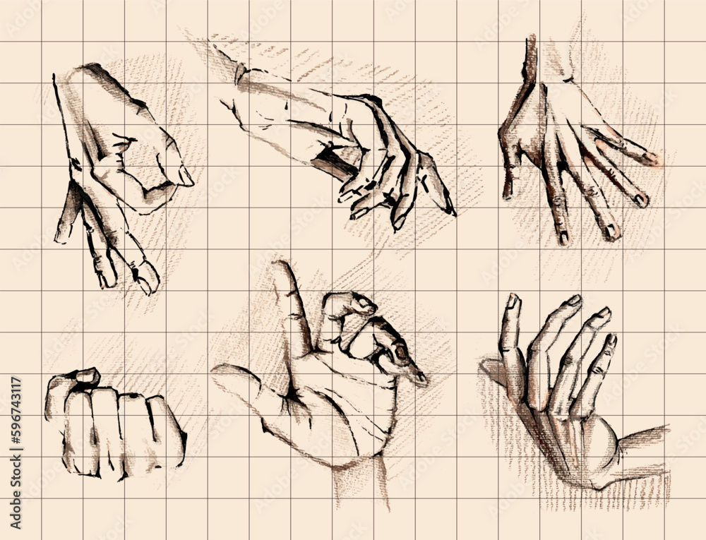 Hand drawn pencil sketches of hands gestures. Beautiful vector drawing ...