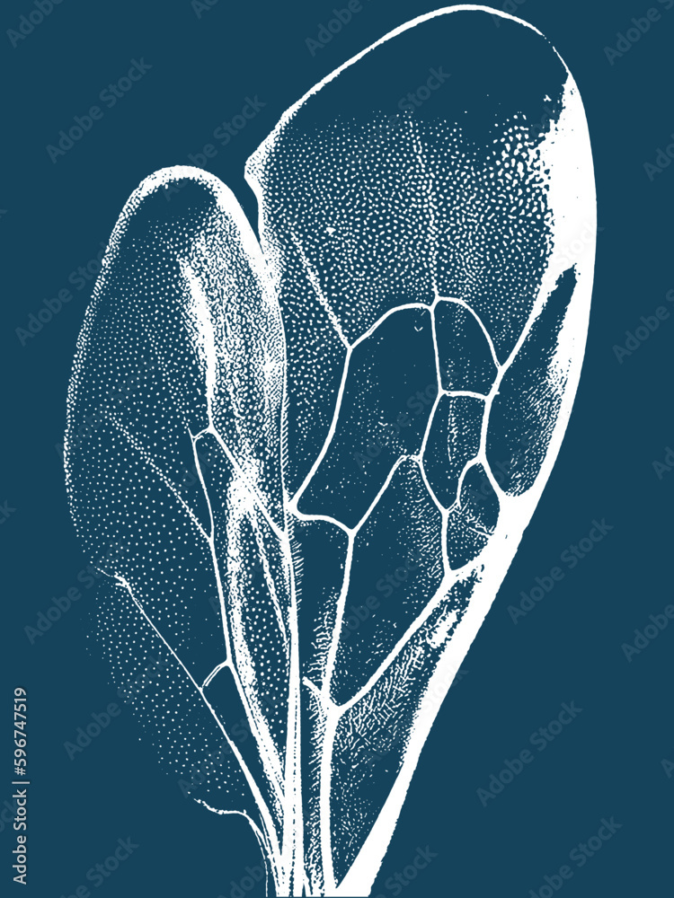 Abstract Organic Background. Nature Pattern. Natural Texture. Butterfly ...