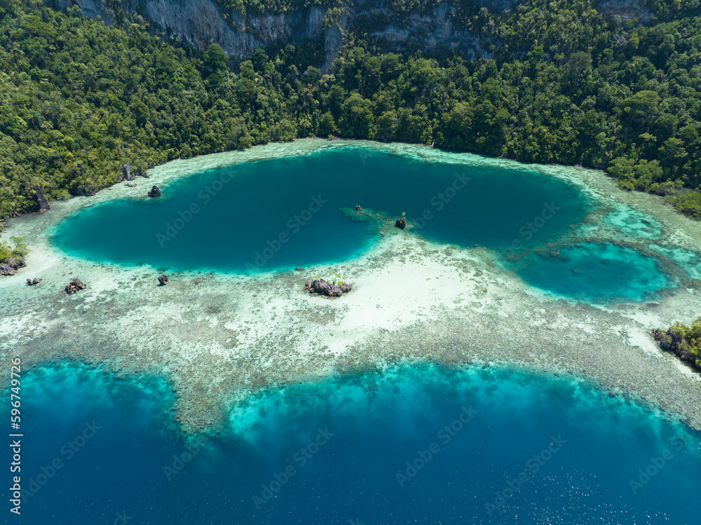 Beautiful coral reefs surround the dramatic limestone islands that rise ...