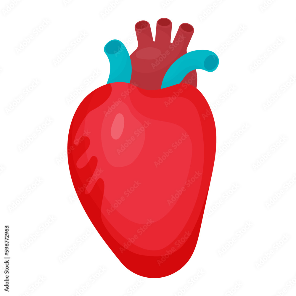 Heart human cardiology organ. Vector illustration in flat cartoon style ...